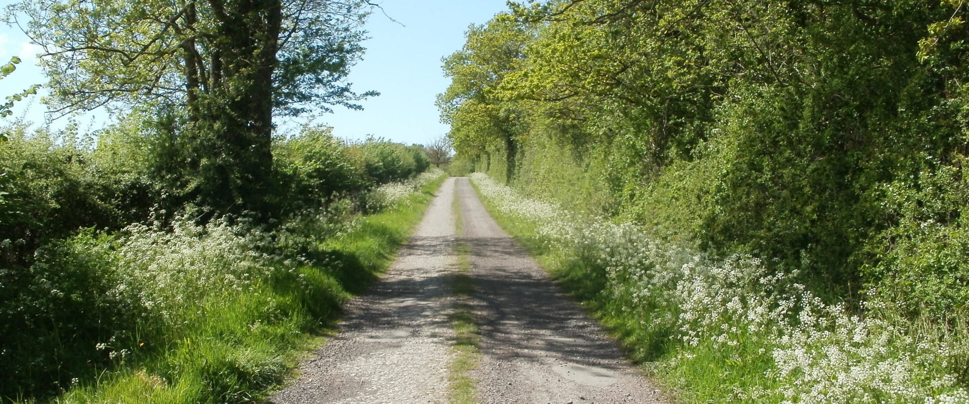 Tariffs & Booking | Old Summer Dairy